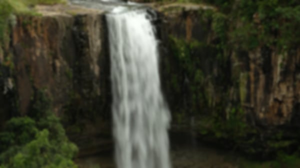 Cram & Conquer | Study Timer with Friends, Music, Pets, and a Soul!